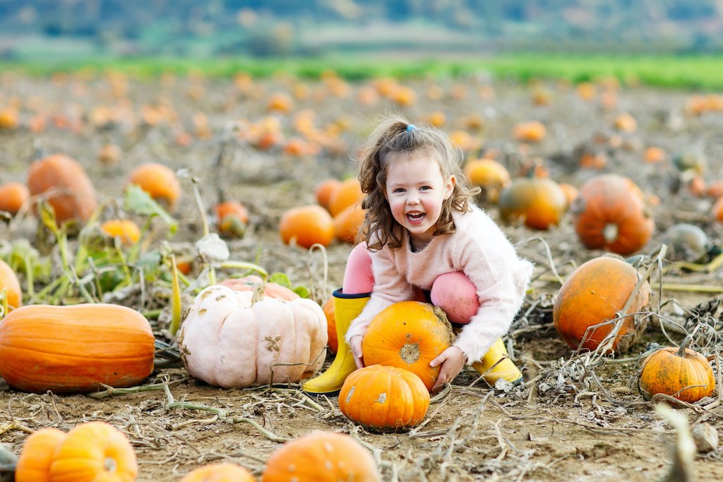 October Events And Things To Do | Day Out With The Kids