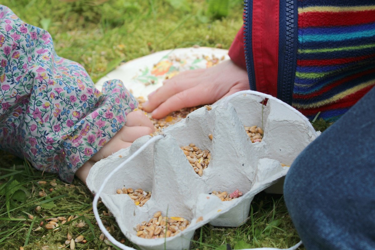 Bird Feeders | Day Out With The Kids