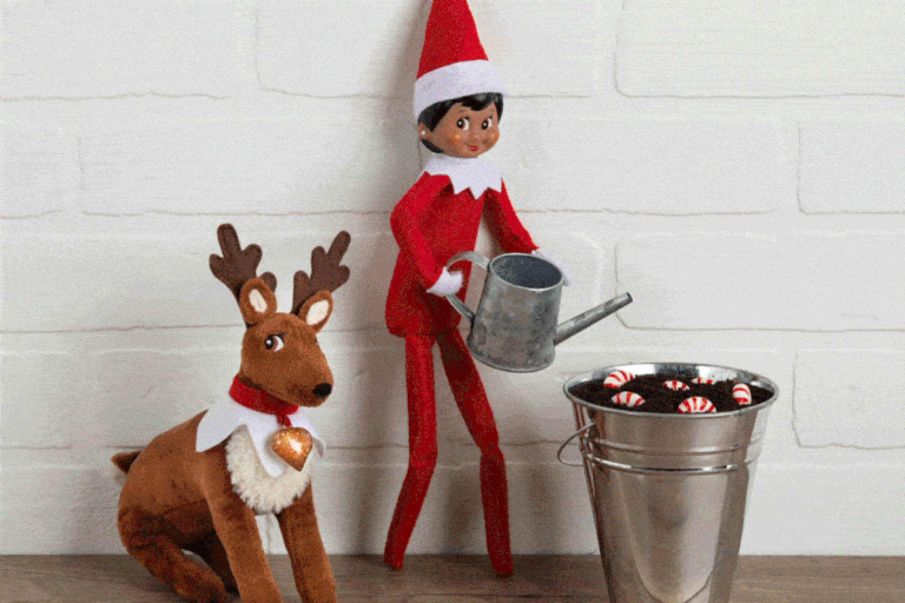 Elf On a Shelf | Day Out With The Kids